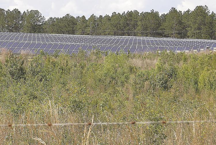 Statewide efforts and happenings · Solar Dump